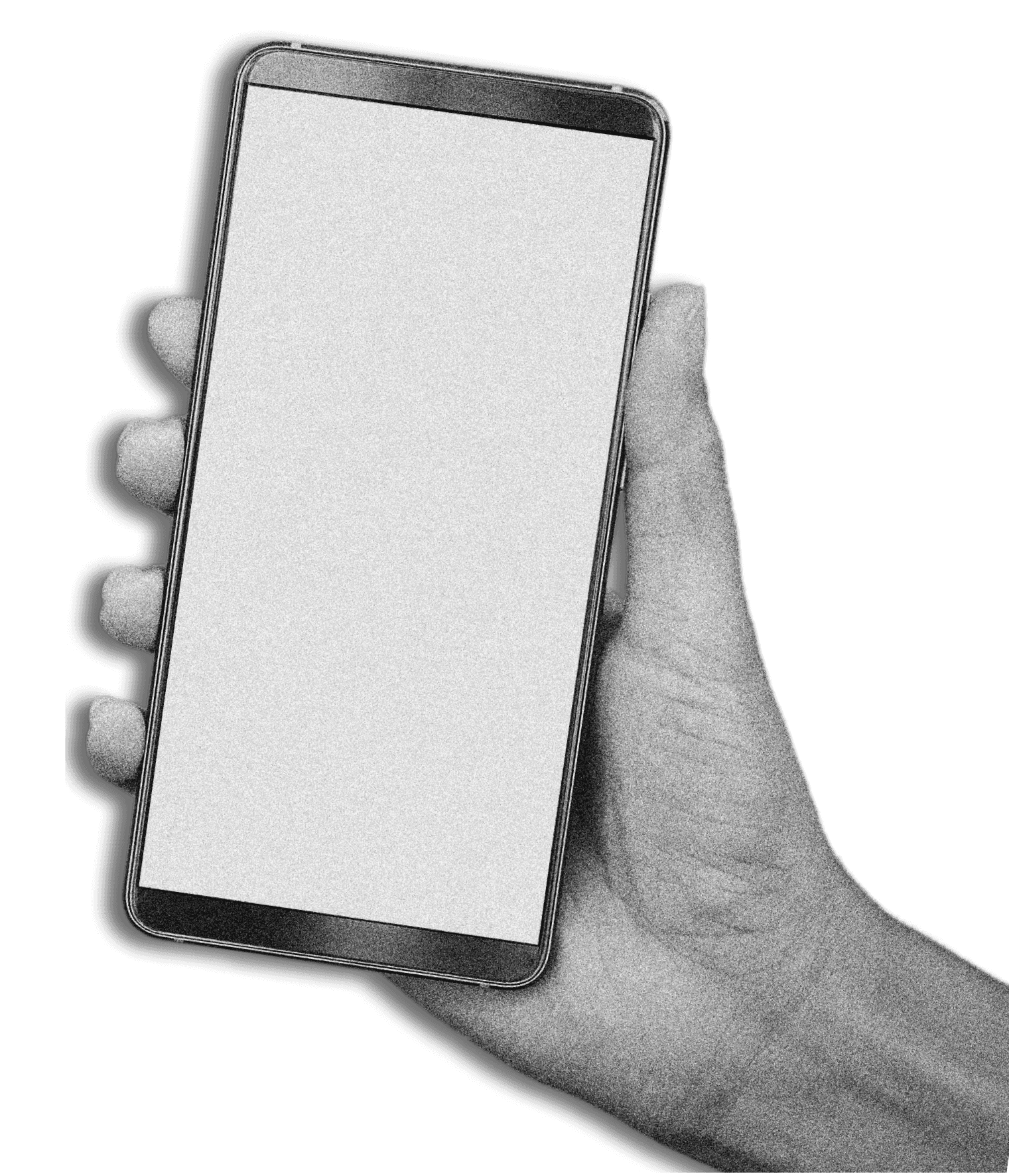 Miranda Spinetti | Creative Marketing Strategist – Wohoo Studio