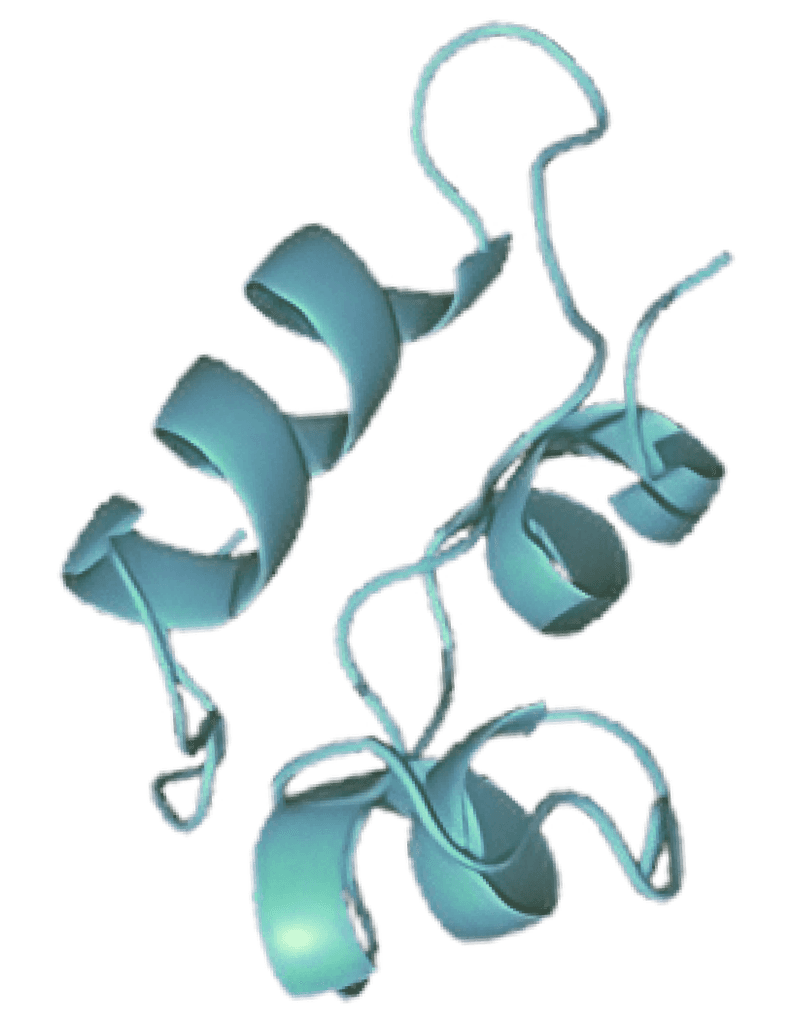 Enzymit | The New Chemistry of Enzyme Design