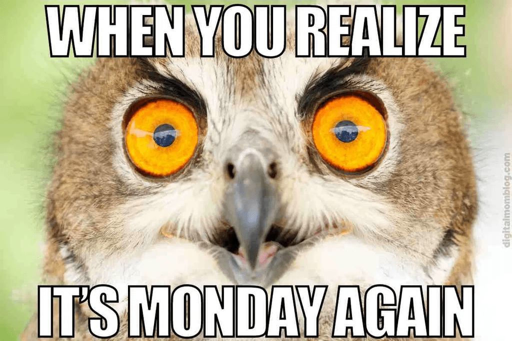 The 29 Best LinkedIn Memes That Will Make You LOL - Fonzi AI Recruiter