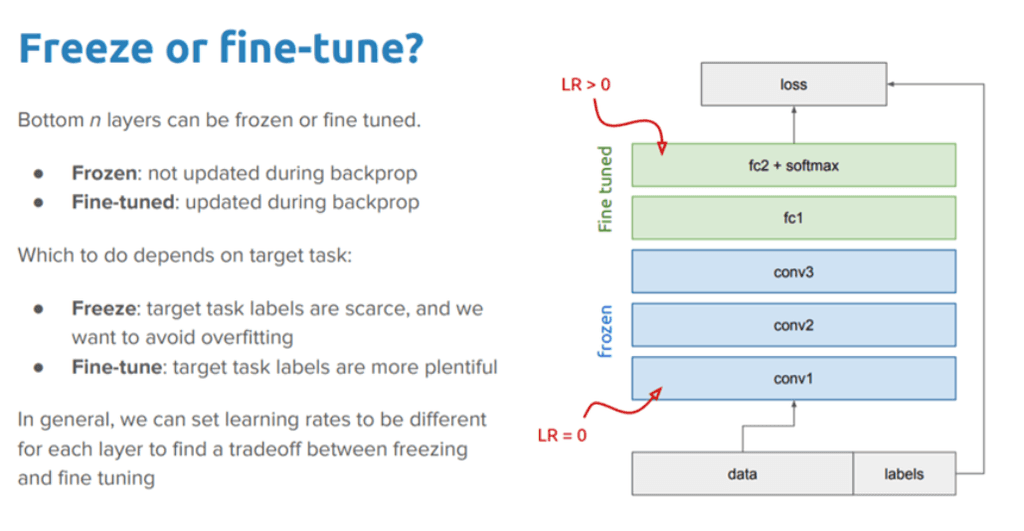What Is Transfer Learning? [Examples & Newbie-Friendly Guide]