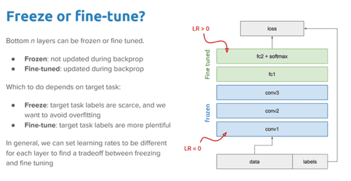What Is Transfer Learning? [Examples & Newbie-Friendly Guide]