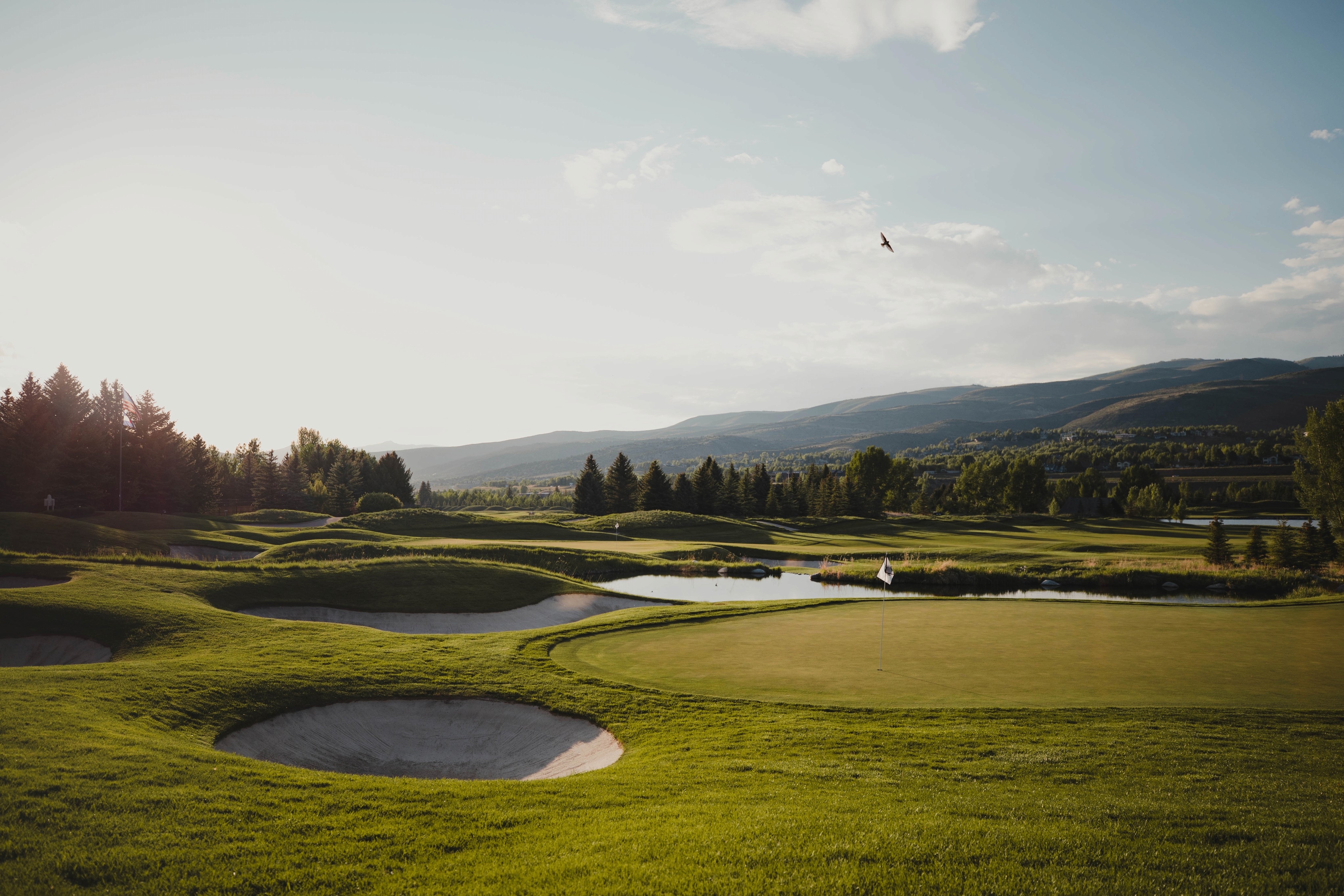 Golf Management