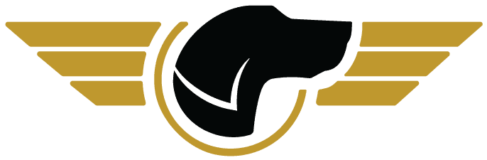 High Performance Complex Endorsements | Black Hound Aviation