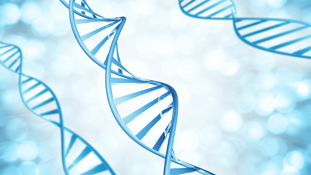 Understanding Insulin Resistance ICD-10 Code E88.81