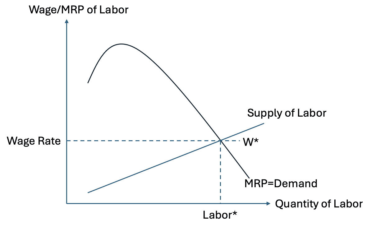 Microeconomics Chapter 18: Labor Markets - Demand for Labor - The ...