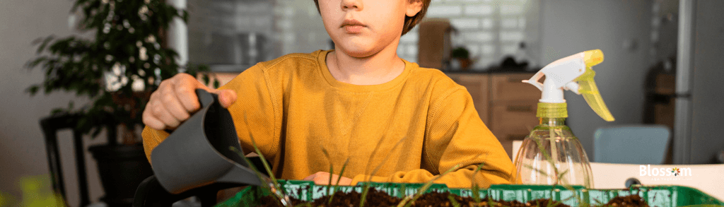 Prompt Hierarchy in Applied Behavior Analysis Therapy