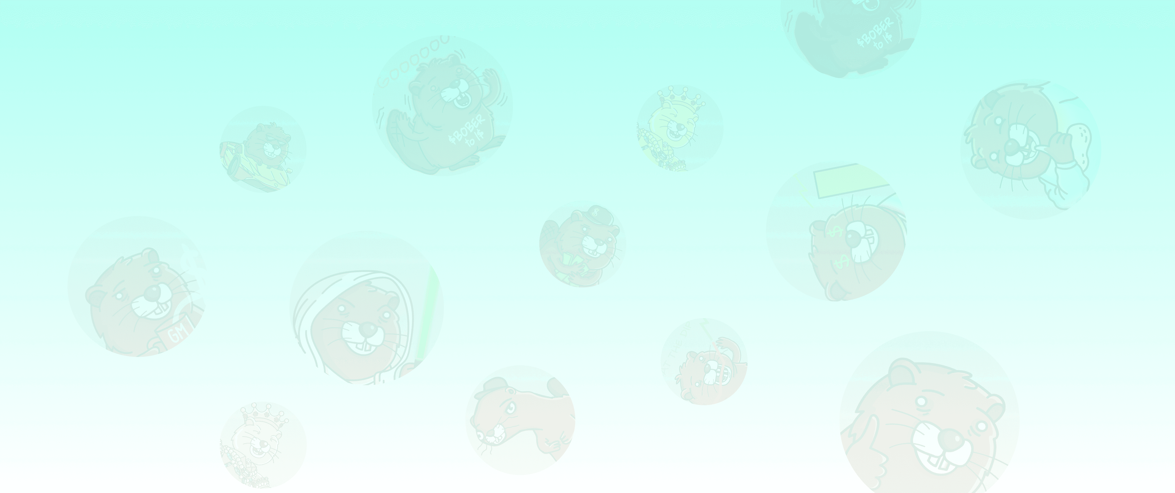 BOBER - The first memecoin on MultiversX