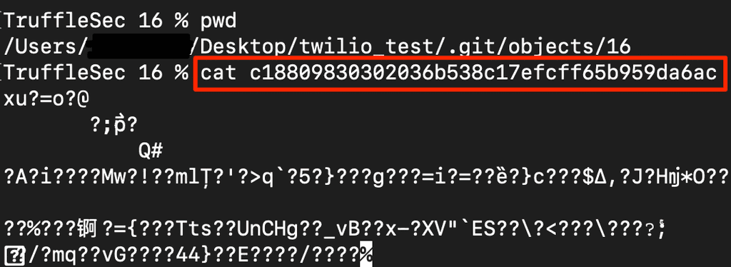 TruffleHog Commands: Git vs Filesystem Truffle Security Co.