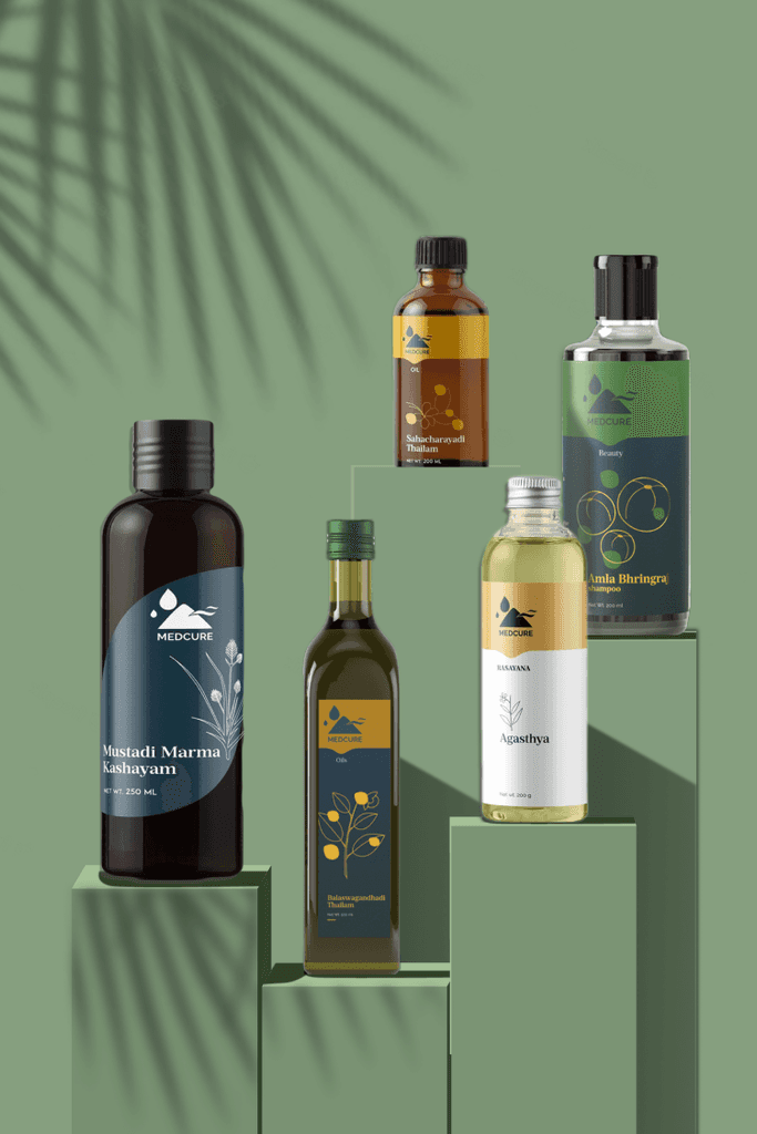 Palpx - Full Stack Digital Solutions Agency