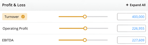 Big Picture Software | Bridge Between Ideas and Execution