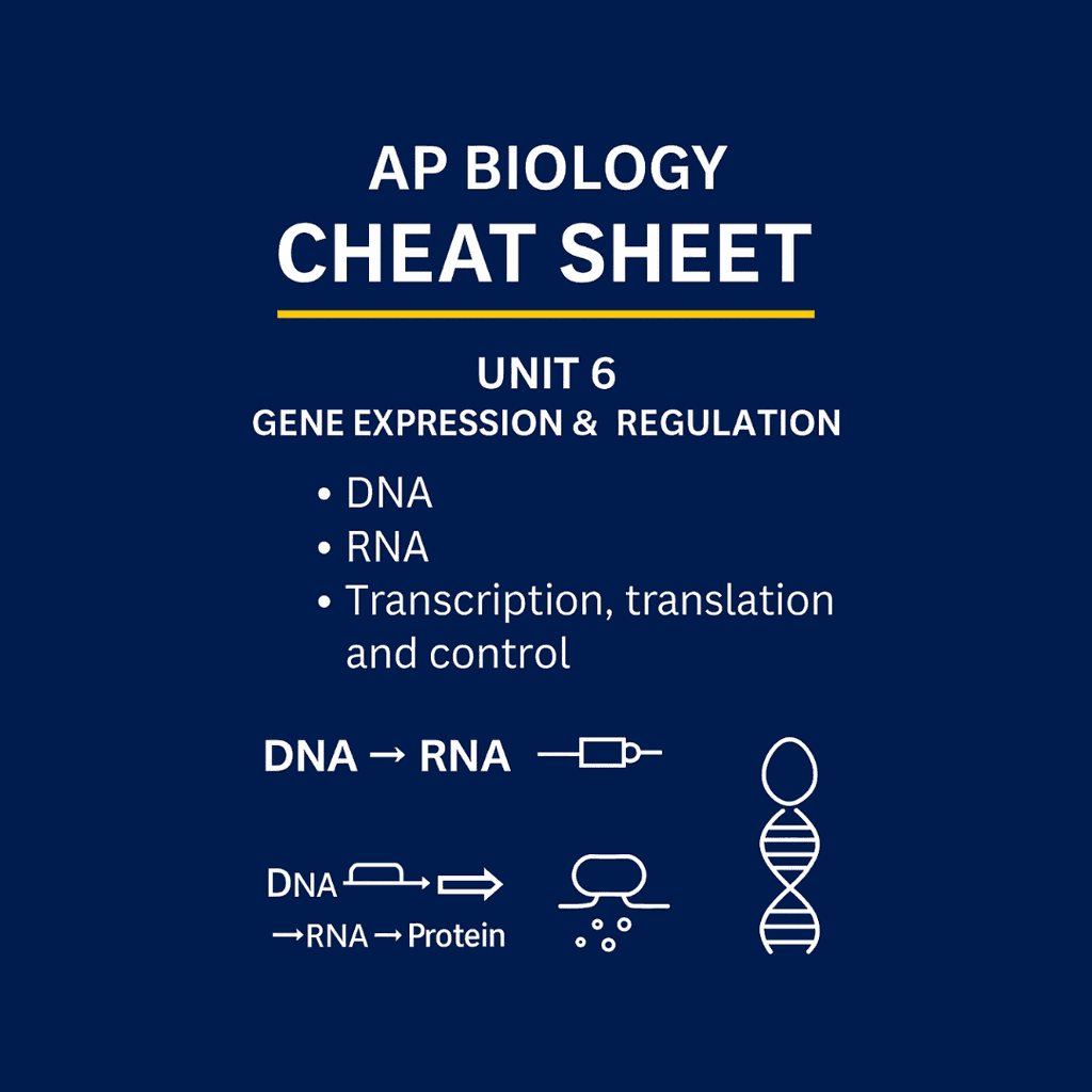 ACT to SAT Conversion Chart | Compare and Choose Your Test