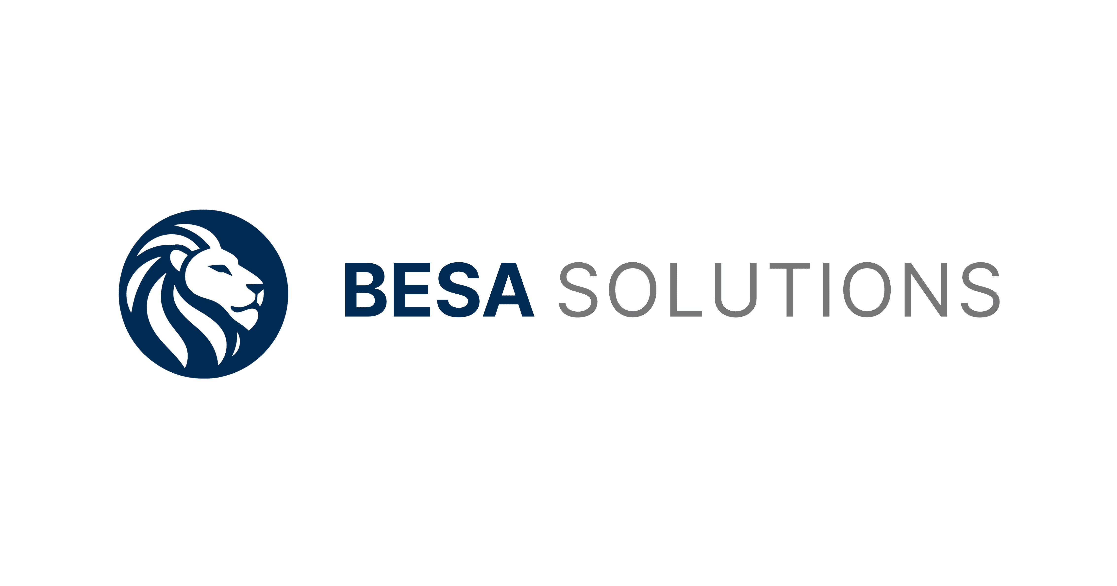 Besa Solutions