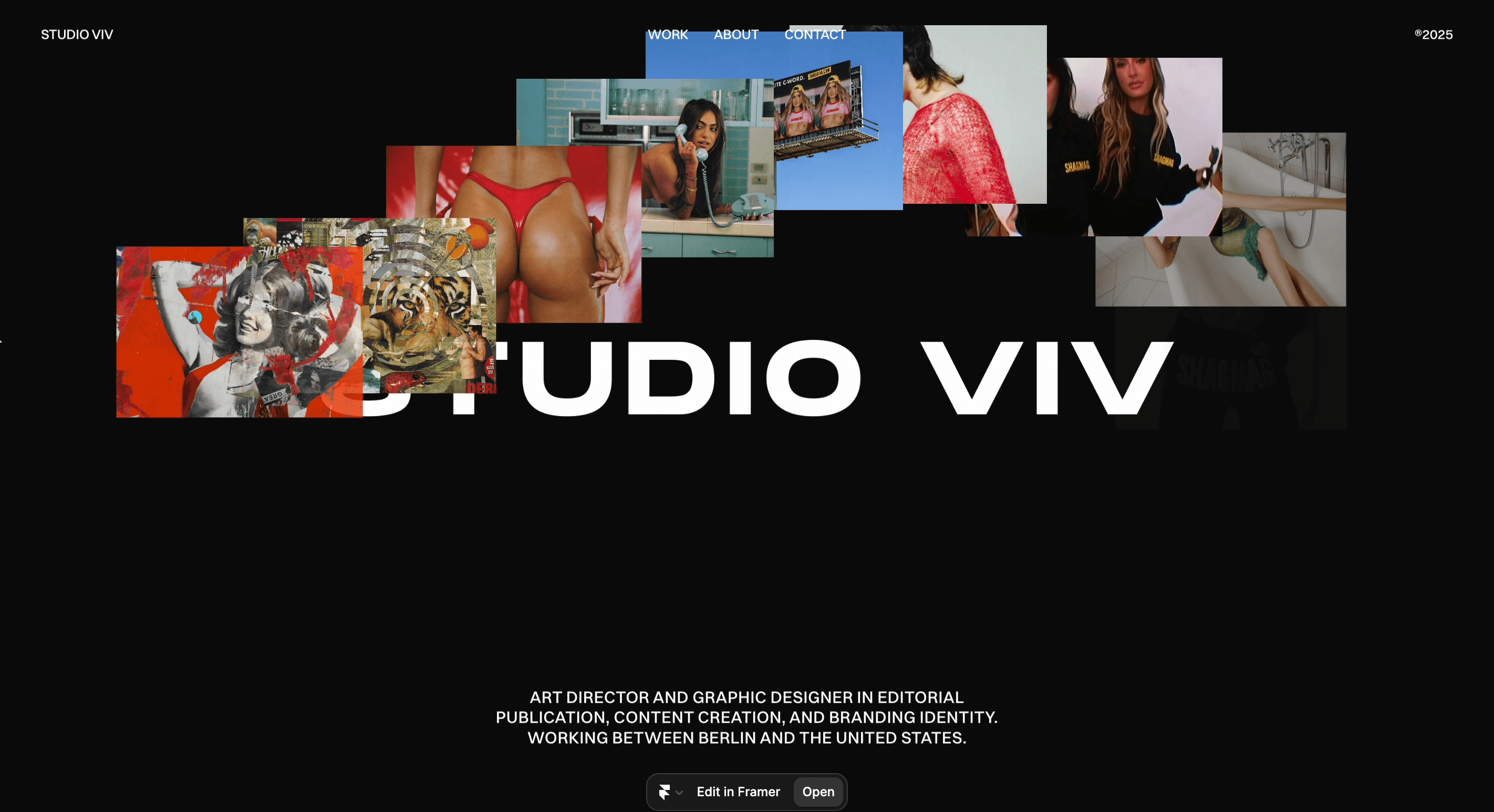 STUDIO VIV