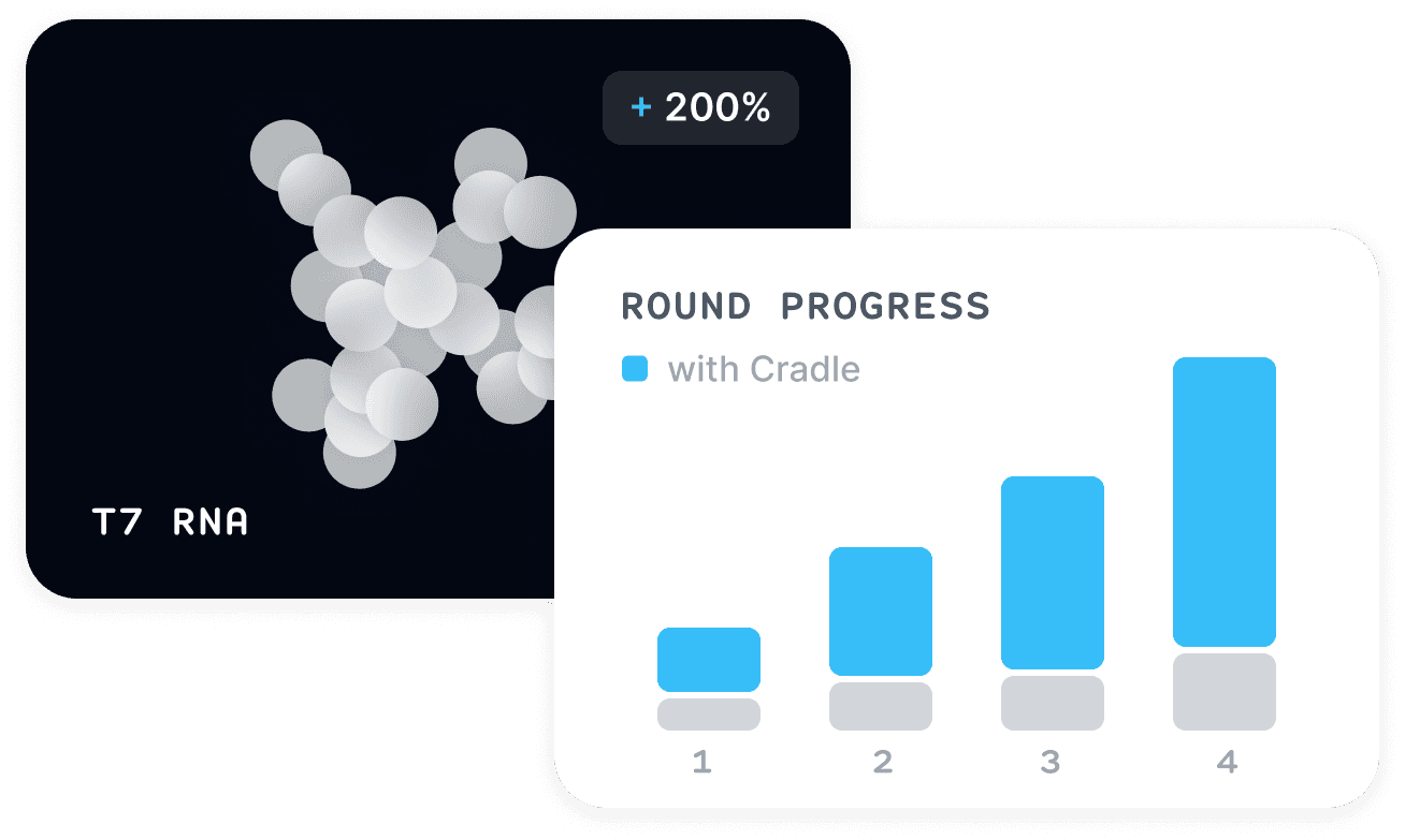 Cradle