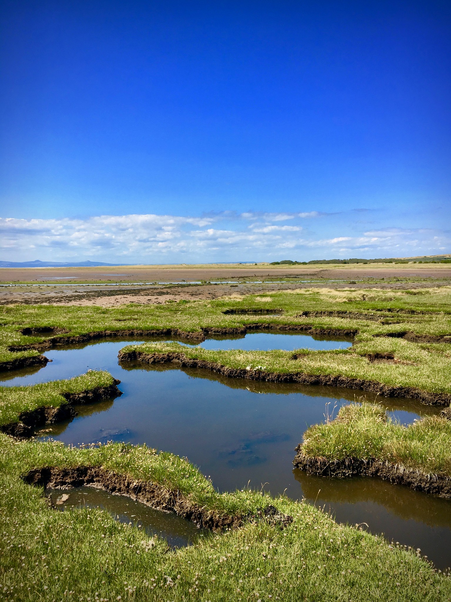 Water Targets for Corporate Sustainability Managers: The Basics