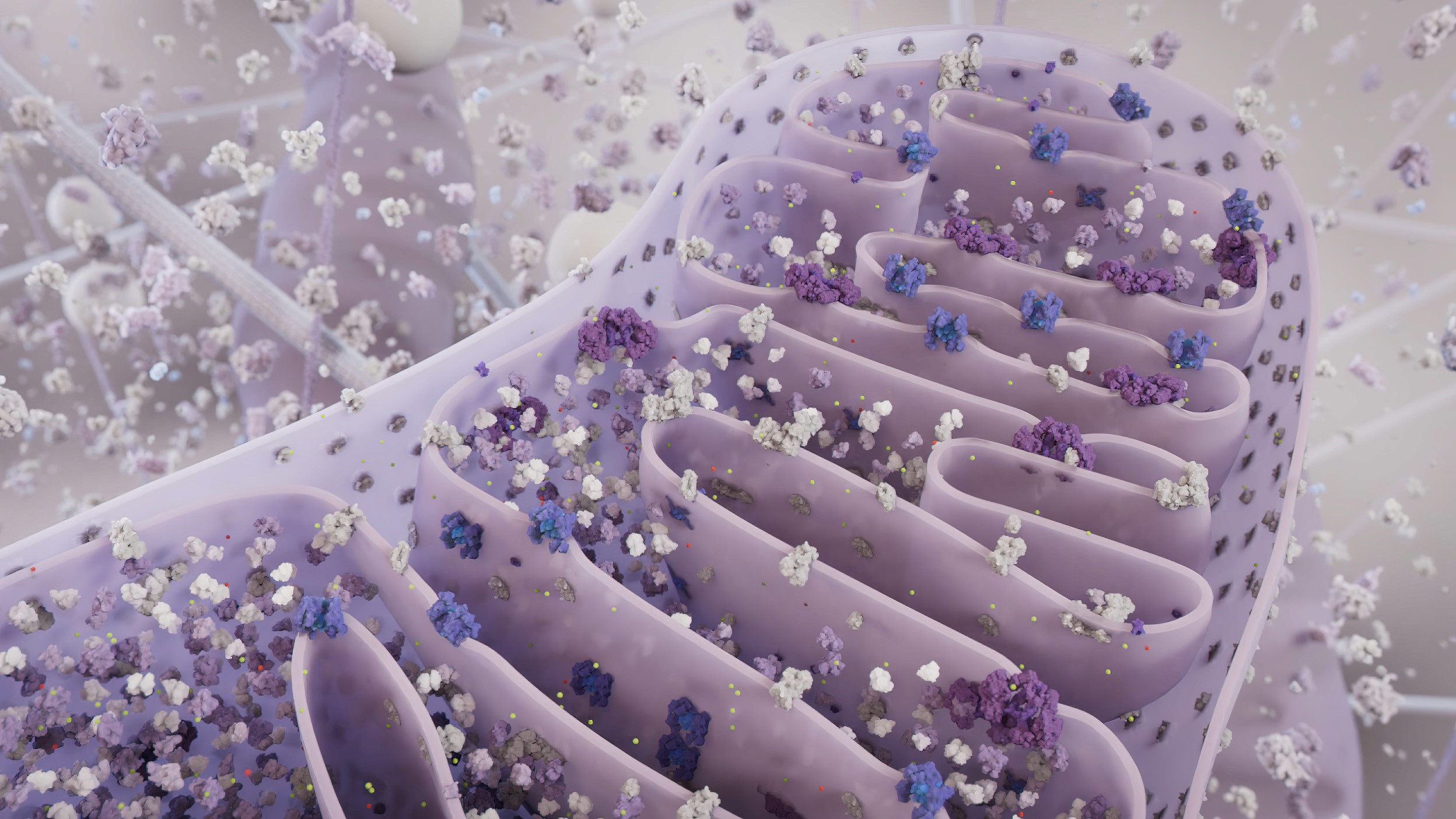 MoA Animation UNI-494 Kidney Disease Case Study | Visual Science
