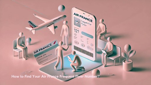 Find Your Air France Frequent Flyer Number - Mem – Your AI Thought Partner