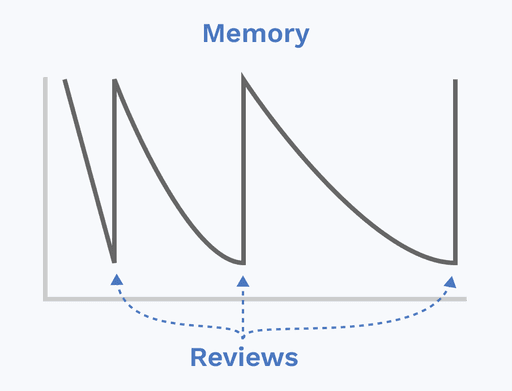 Umi | Learn a language
