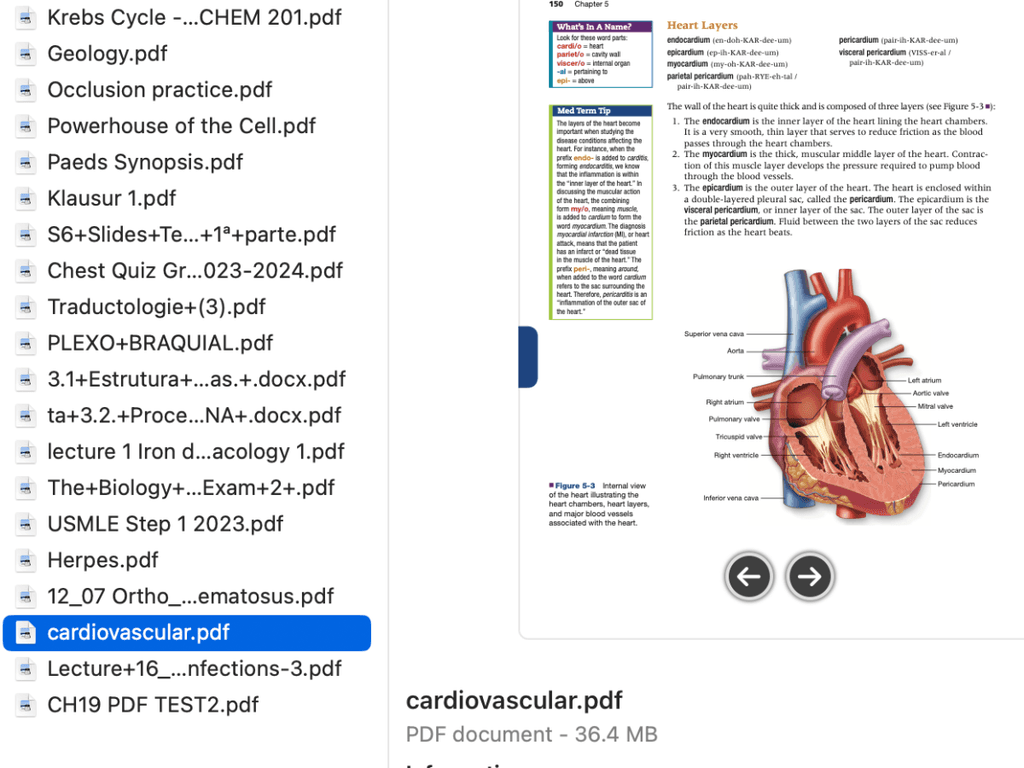 transform lectures into comprehensive notes with jungle