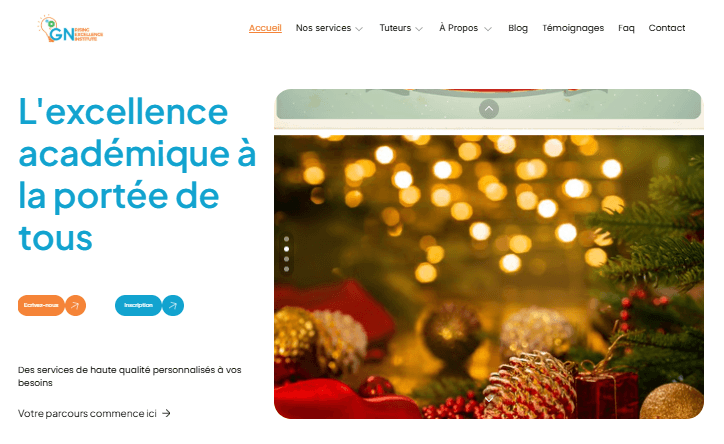 Rising Excellence Institute