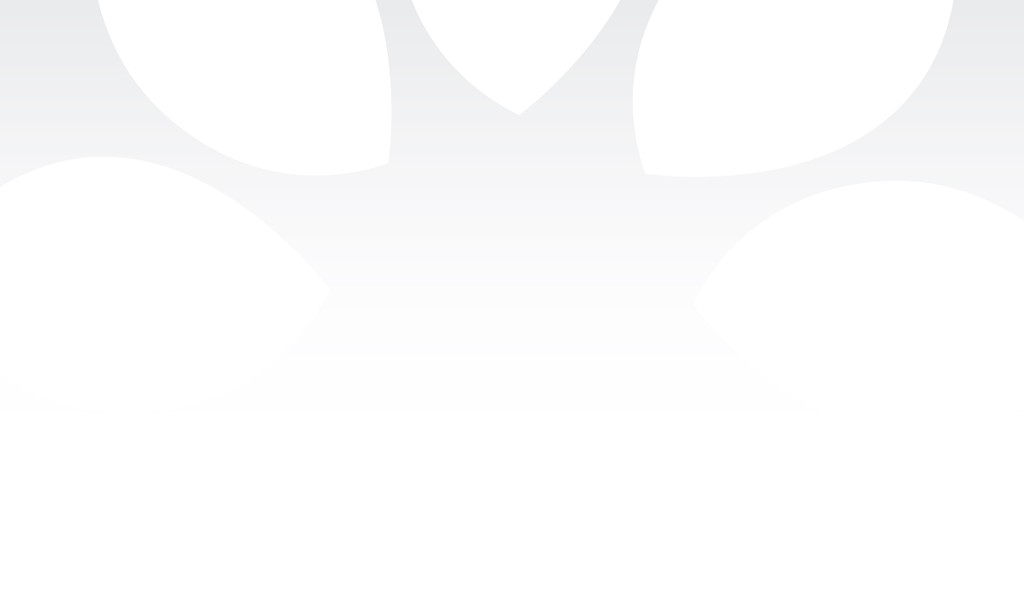 Free RBT Training Course | Blossom ABA Therapy