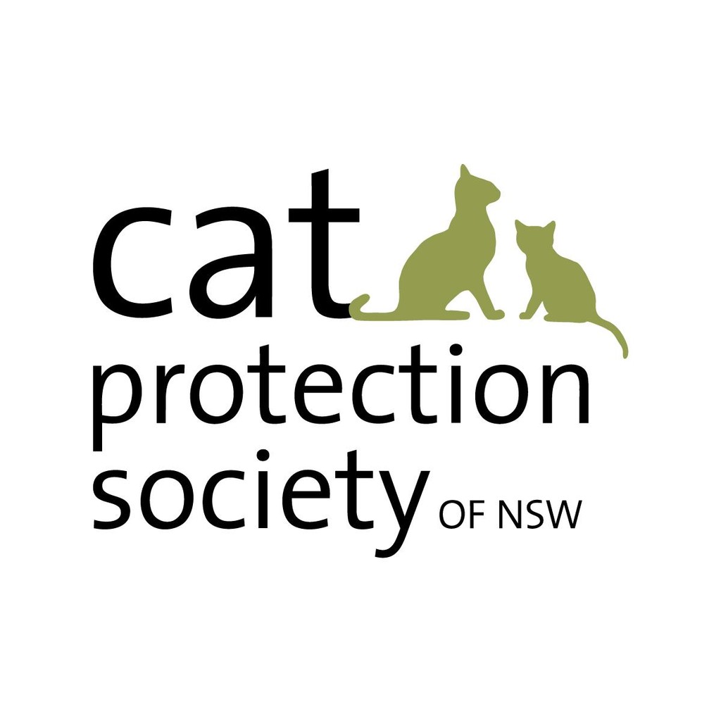 Community Cat Programs: manage cat populations