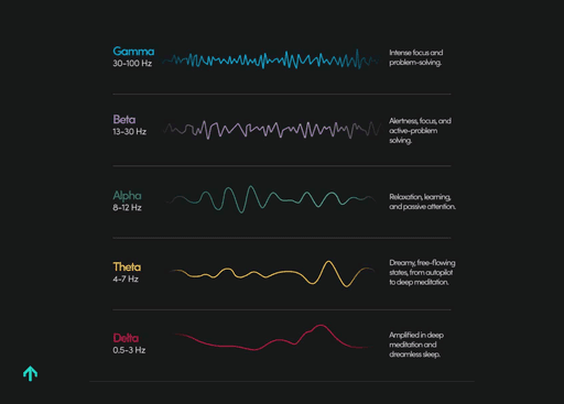 What Are Theta Waves?