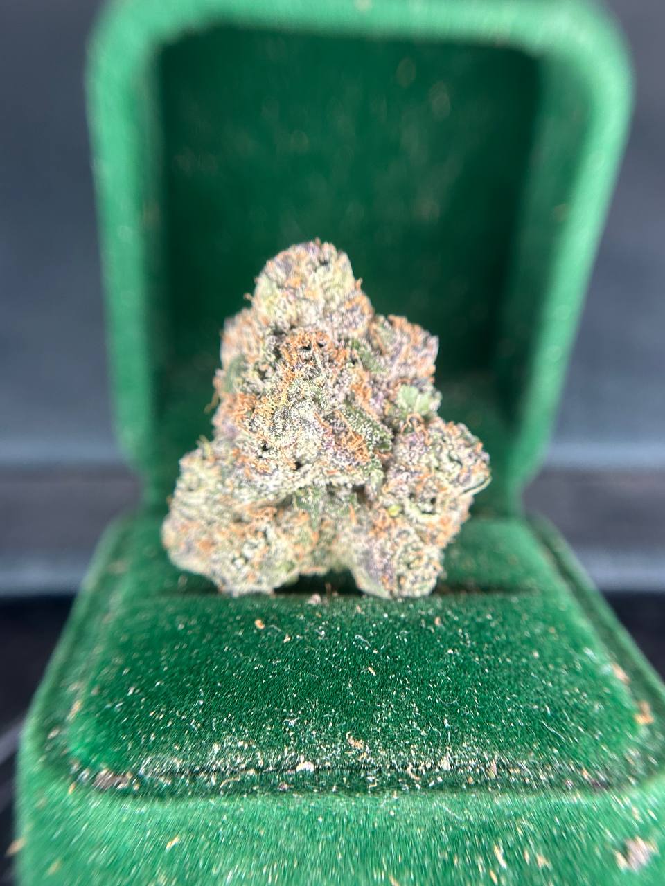 Signature Dank In-House - DD