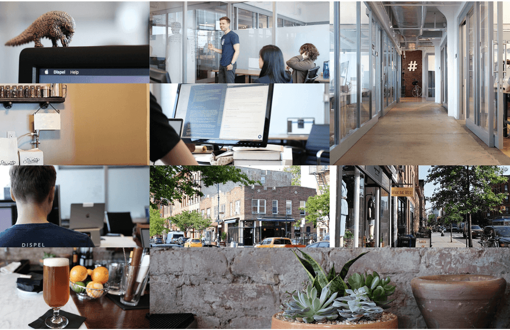 About Us | Dispel