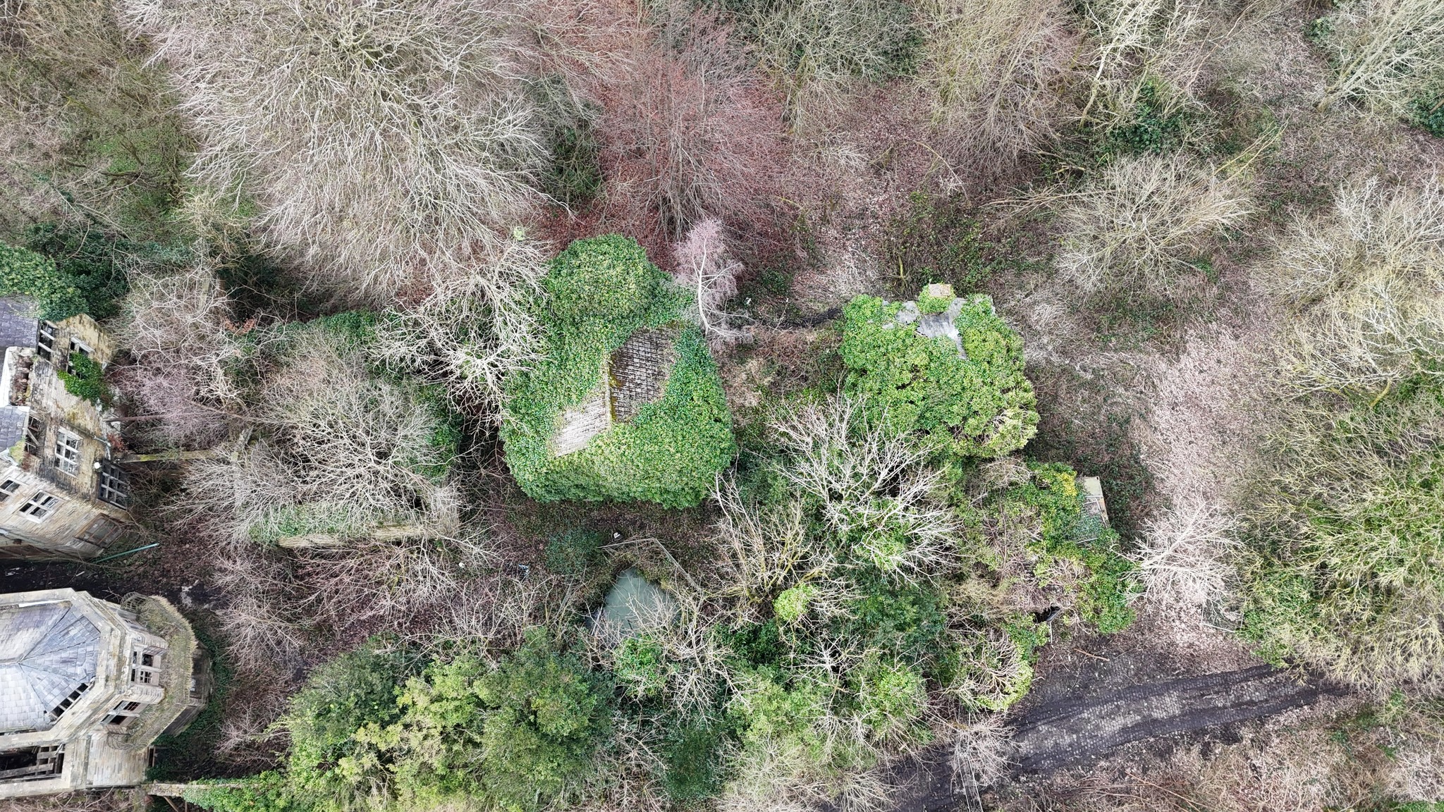 Winstanley Hall – Consultation