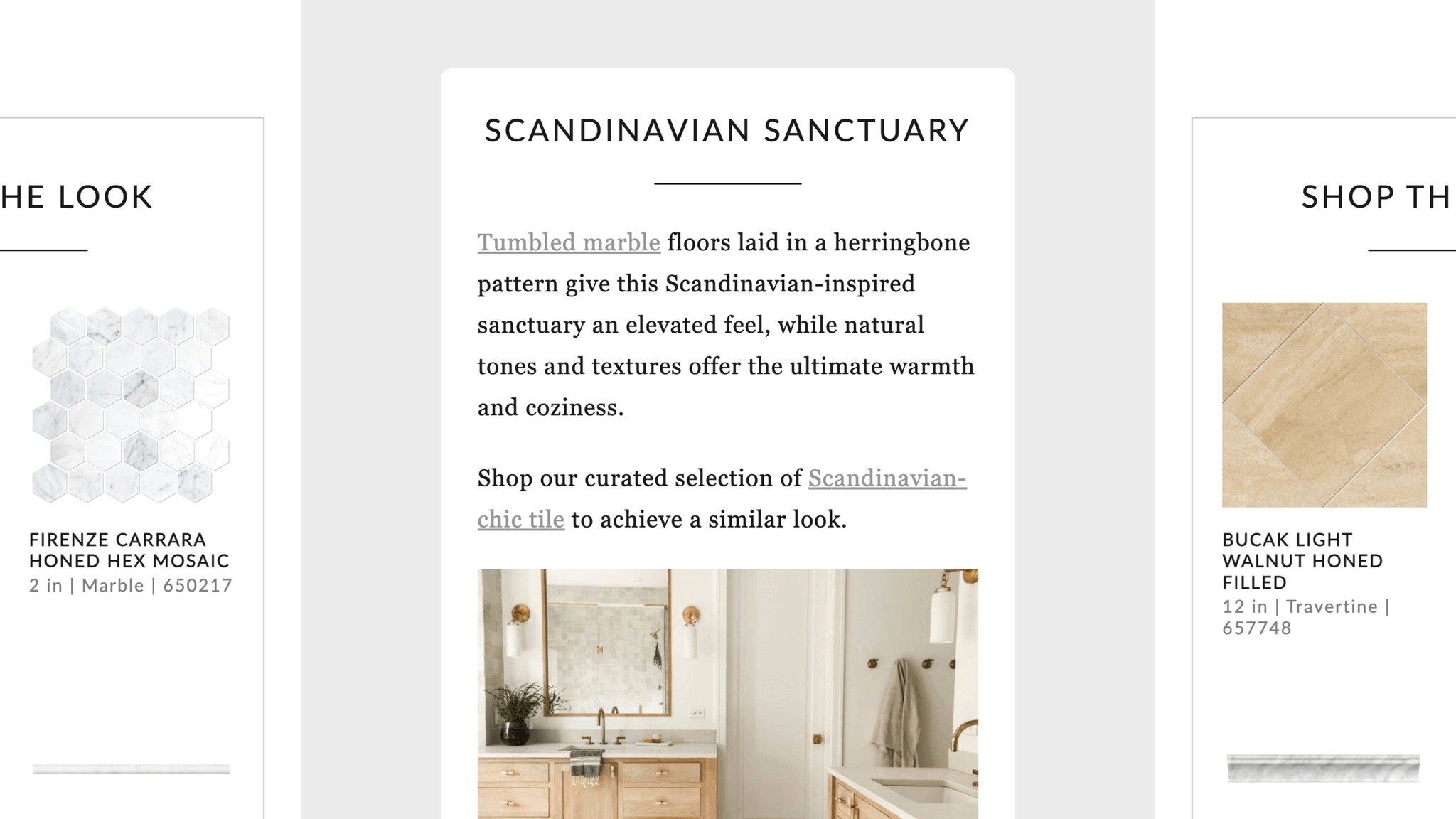 Brandon Harrison - Designer, manager, & frontend enthusiast