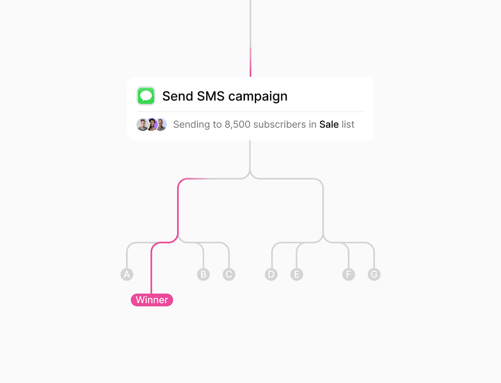 Enterprise SMS Marketing Platform | Global Reach | Bird