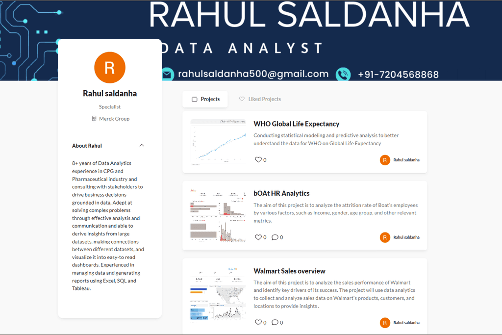 Analysts You Can Hire: Fall 2023 | Maven Analytics