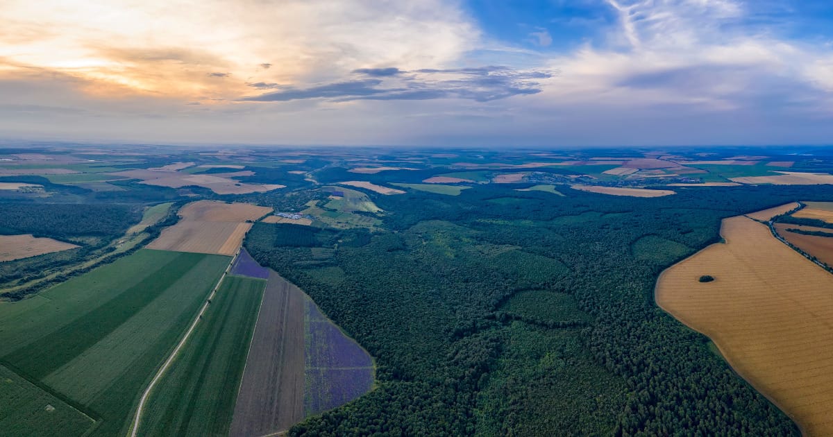 An Expanded Understanding of Expropriation: Recent Guidance on ...
