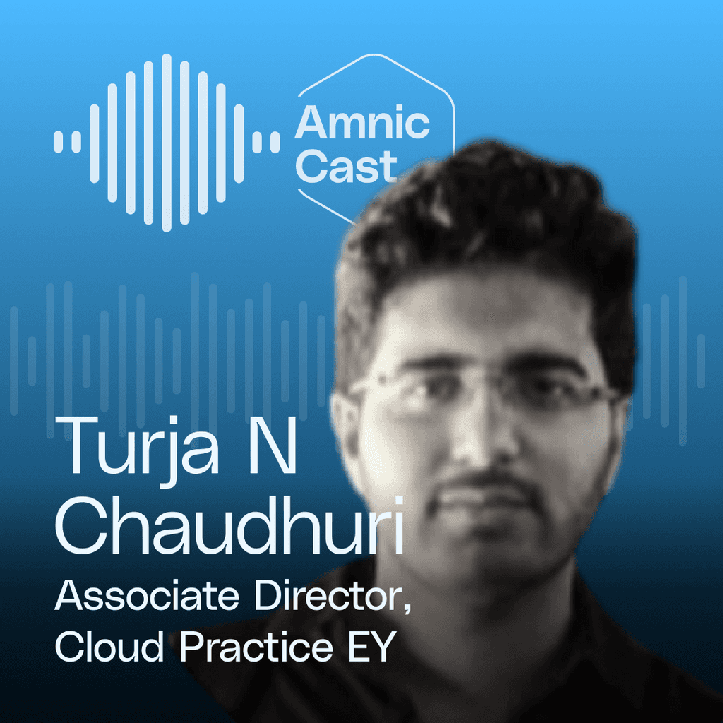 Cloud cost observability, visibility & optimization | Amnic