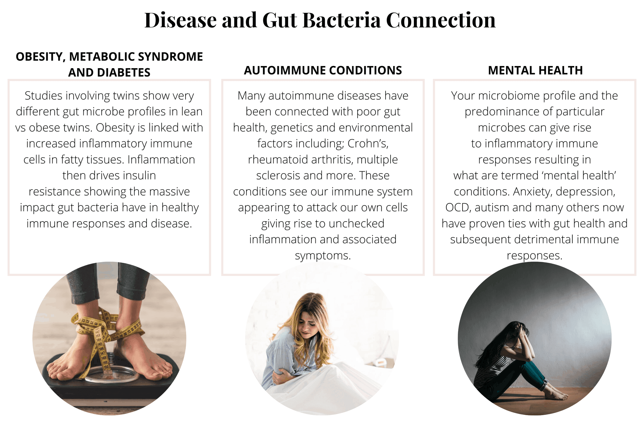 The Gut-Immune System Connection | Prana Thrive - Prana Thrive ...