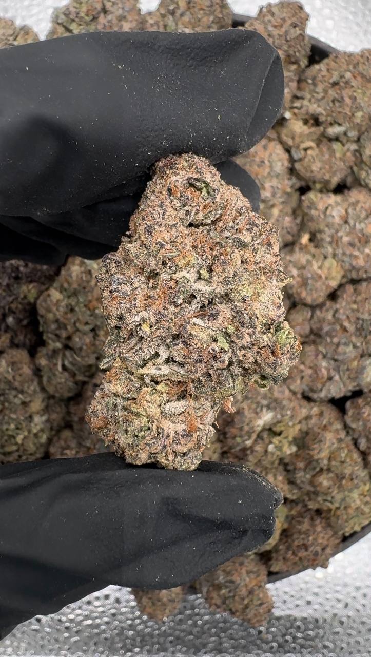 Flower - Cali Exotics