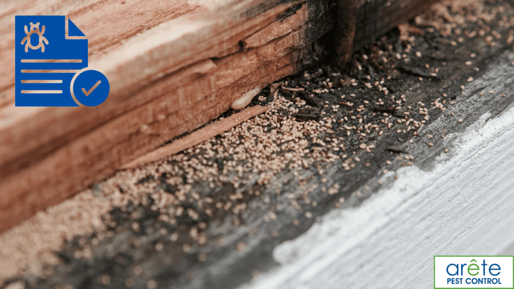 Georgia Wood Destroying Insect Inspection Inspections Newnan GA | Pre ...