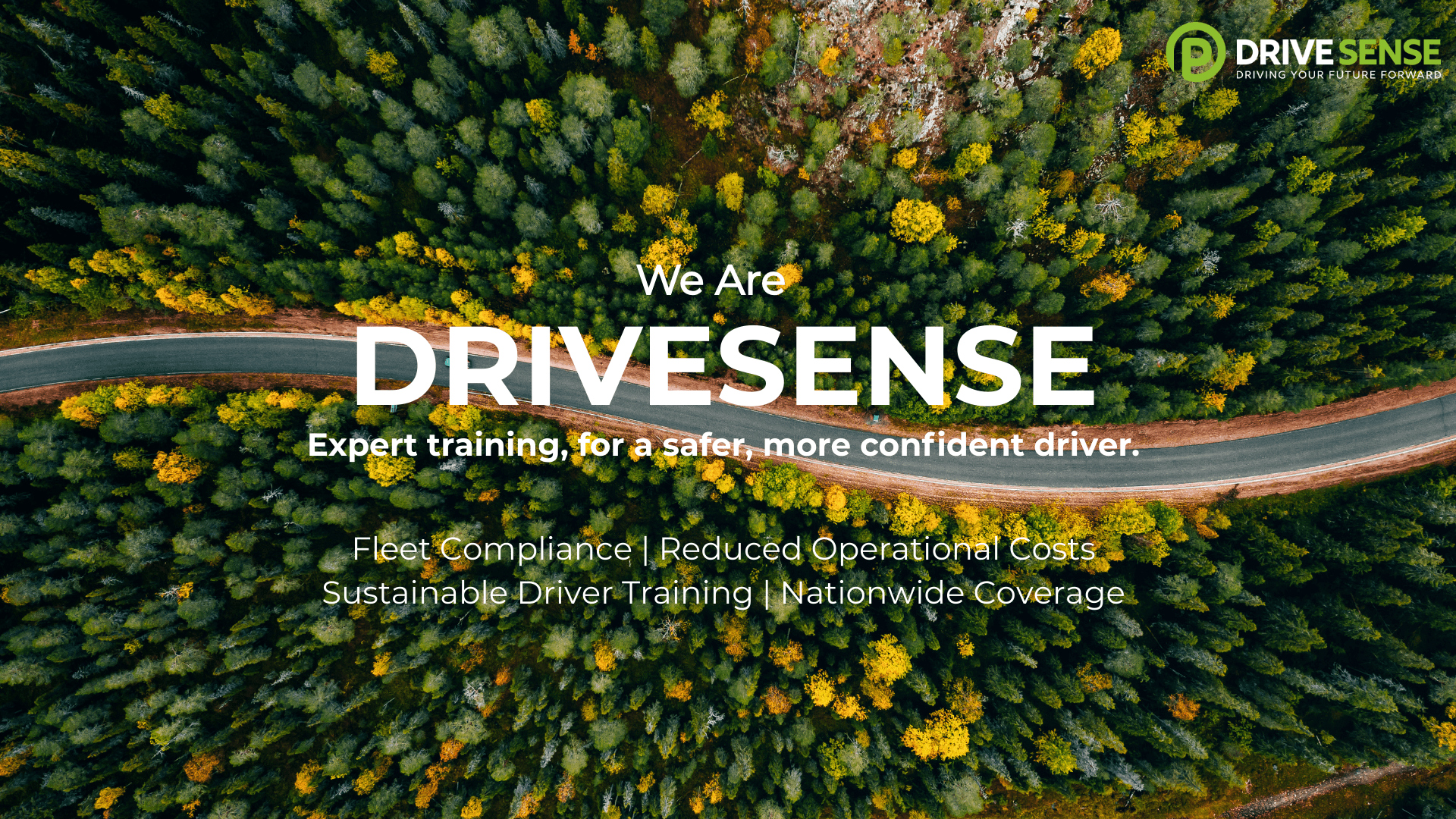 DriveSense