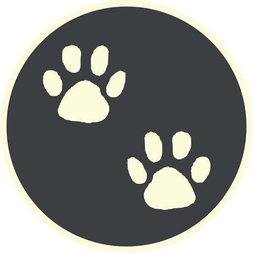 DIVERSION 2K25-Let's go Retro