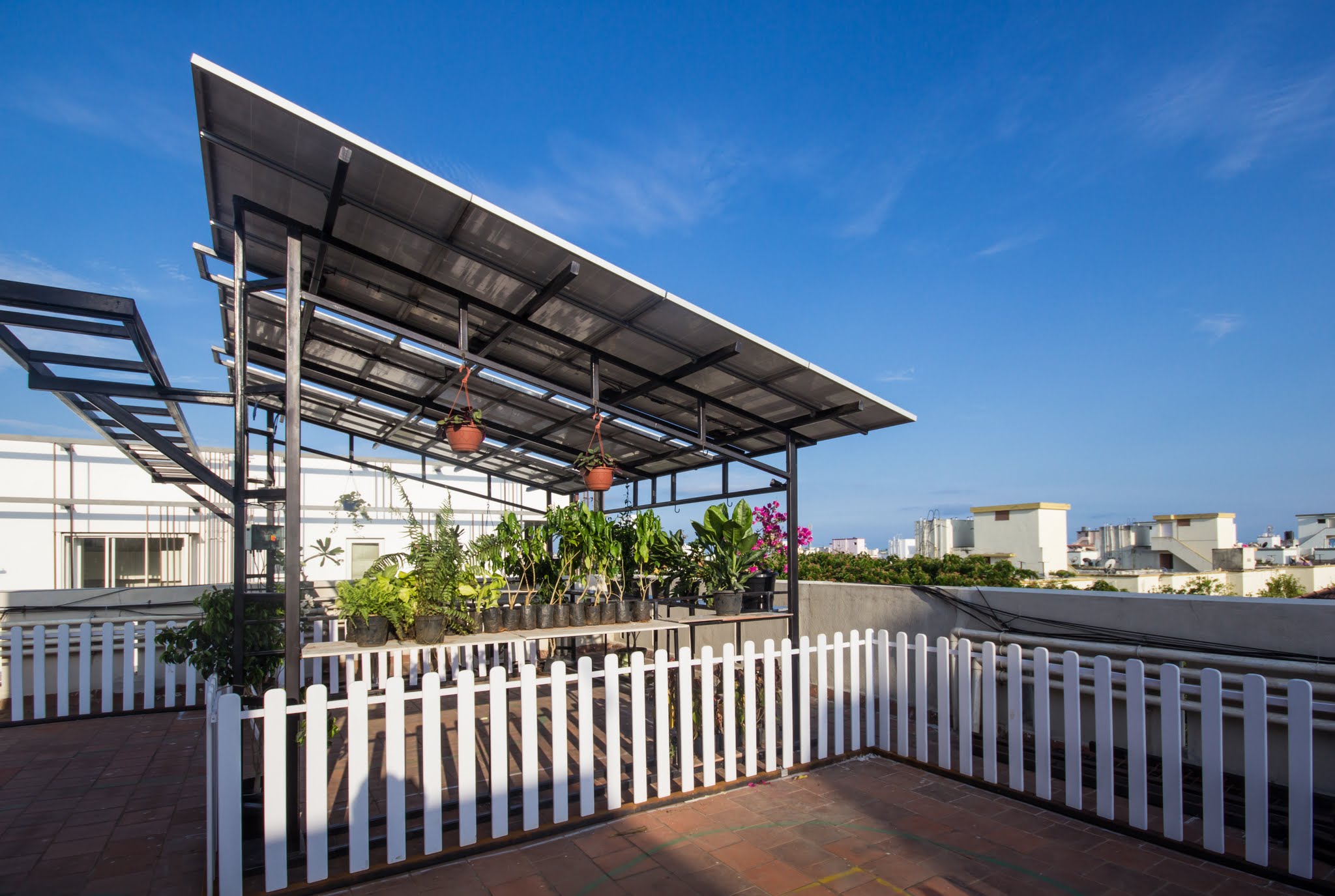 Our Journey: The Sunmeister Story