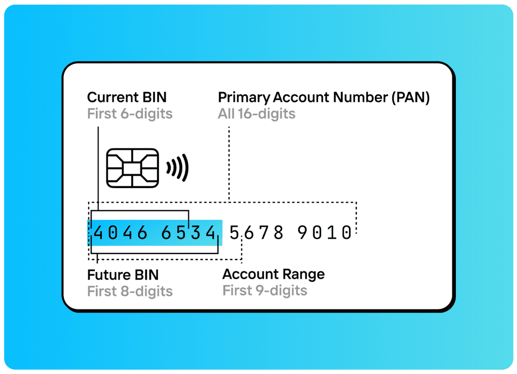 Understanding and Using BIN Data | Pagos