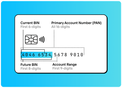 Understanding and Using BIN Data | Pagos
