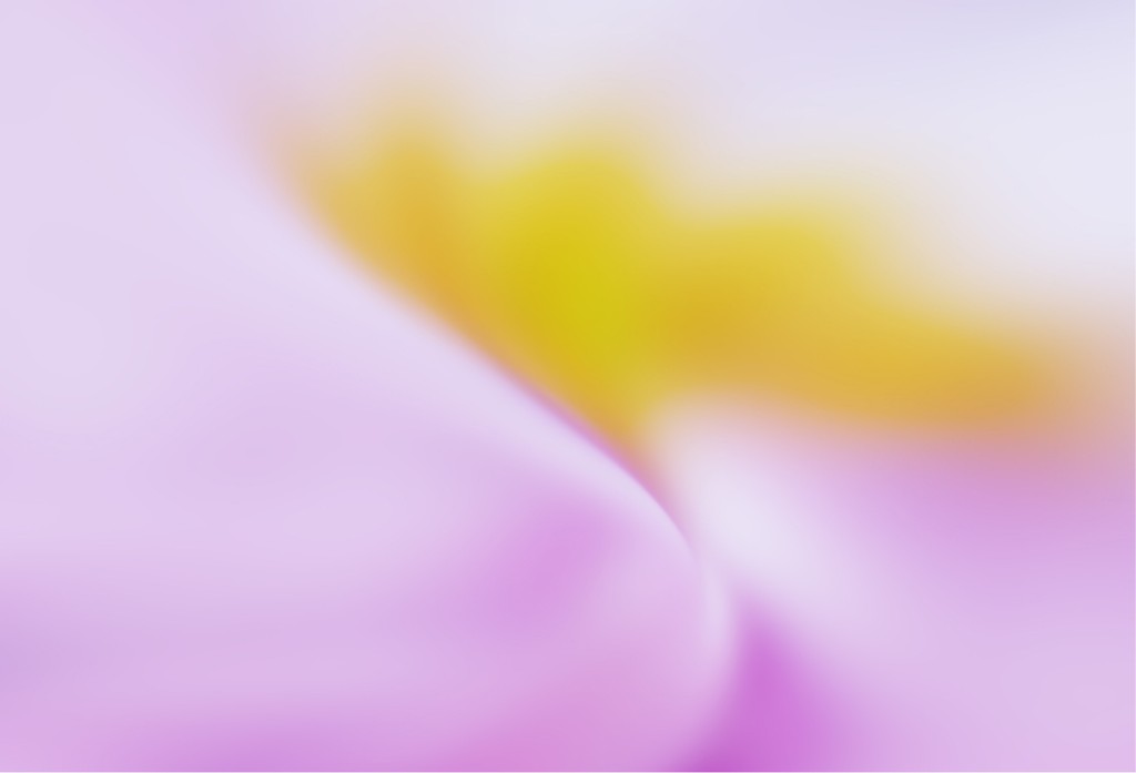 1000+ Gradients and AI-Generated Backgrounds