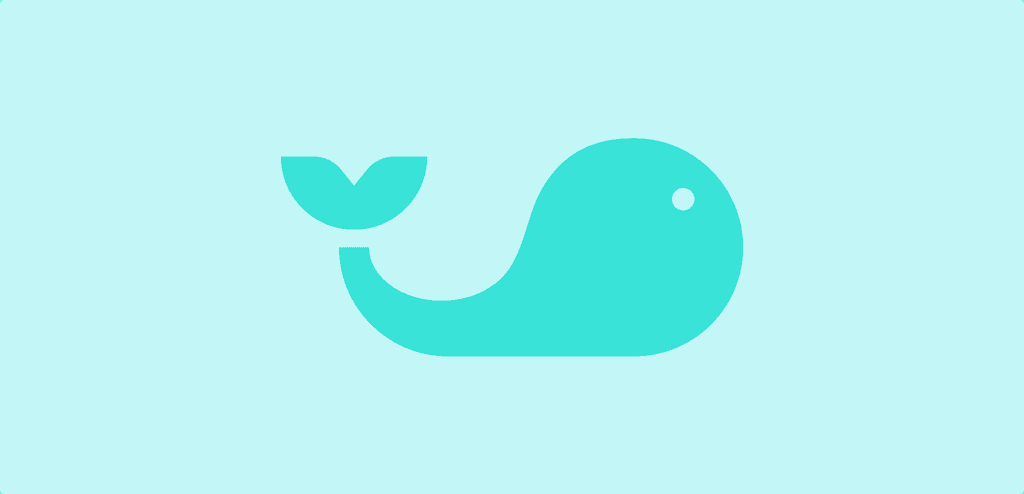 What is Splash Sports?