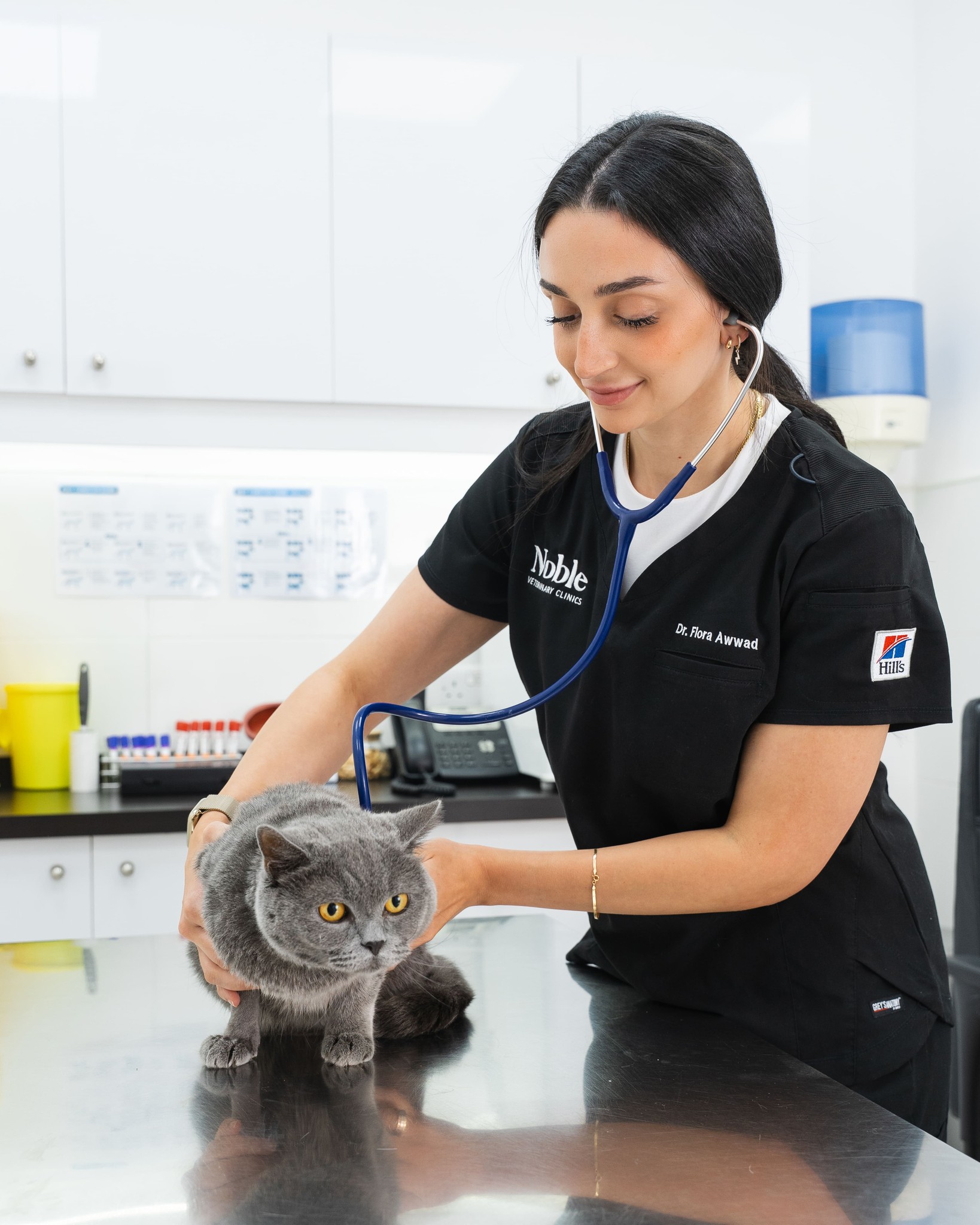 Feline Calicivirus: Transmission, Symptoms, and Treatment