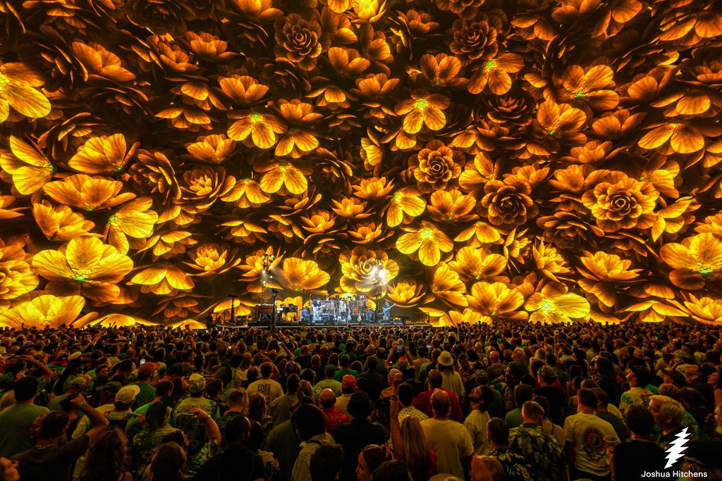 Dead & Company | Vibee