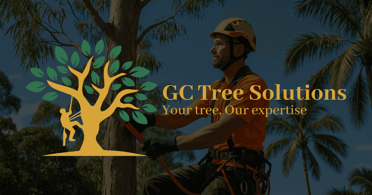 GC Tree Solutions – Tree Removal & Pruning Gold Coast