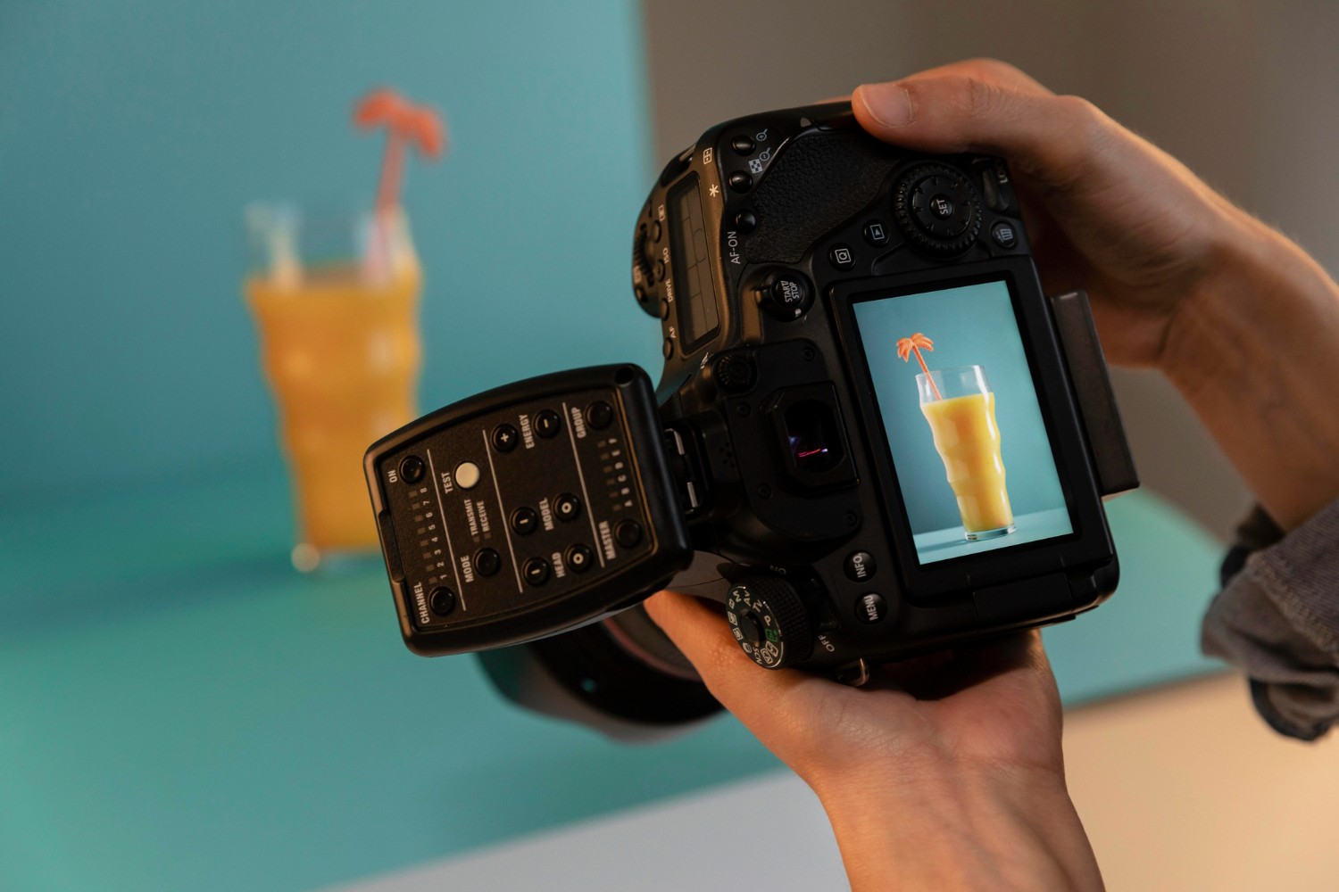 Vyas Residential Program