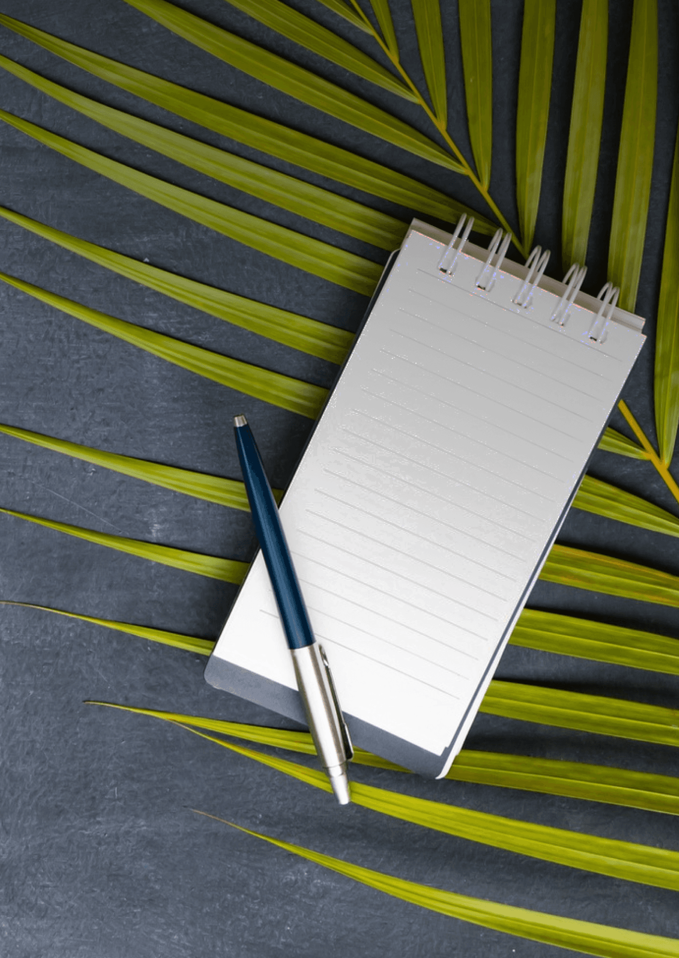 JobHunt - Job Search AI Agent